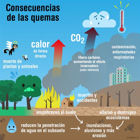 Quemas E Incendios ¿qué Consecuencias Traen Aire Libre