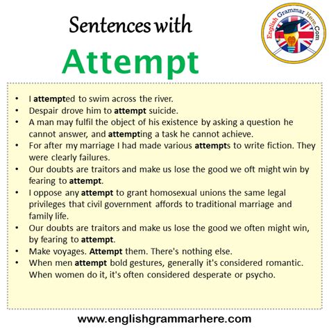 Sentences With Attempt Attempt In A Sentence In English Sentences For