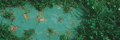 Short Patchy Grass With Bare Spots Shows Uneven Surface And Dry Texture