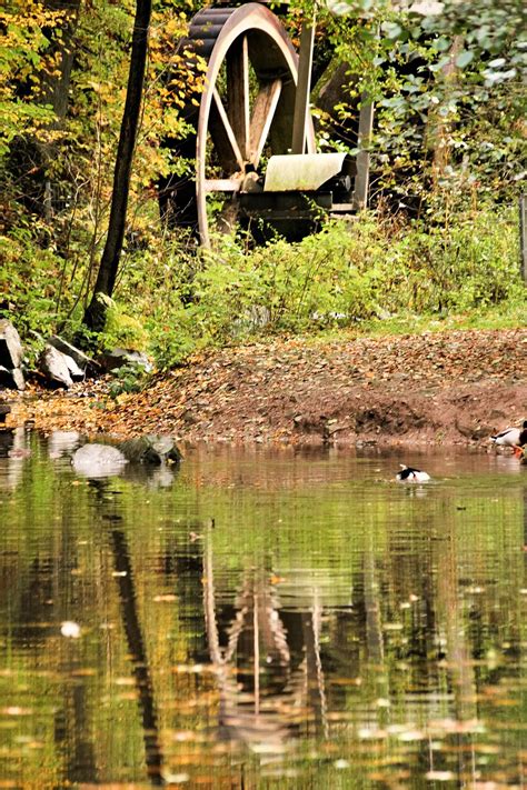 Water Wheel Nature Free Photo On Pixabay Pixabay