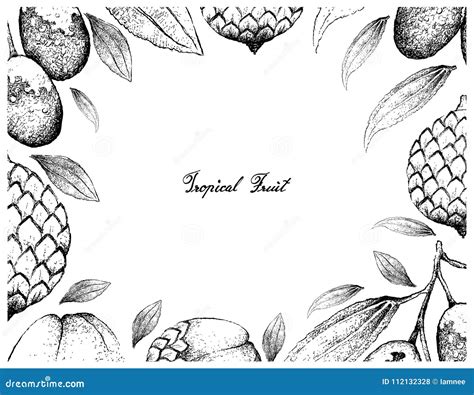 Littuko Cartoons Illustrations And Vector Stock Images 11 Pictures To Download From