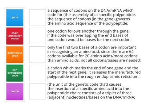 Genetic Code Terminology Match Up