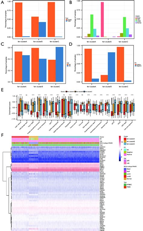Comparative Analysis Between Ferrcluster Subgroups Using Tcga Data