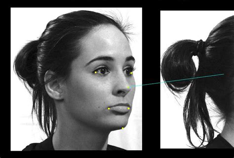 Detect Gaze Angles With C Dlib And Opencv