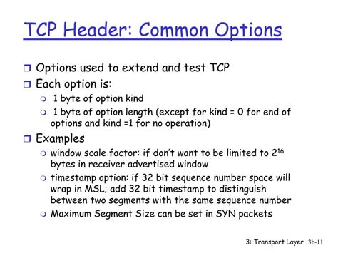 PPT TCP PowerPoint Presentation Free Download ID