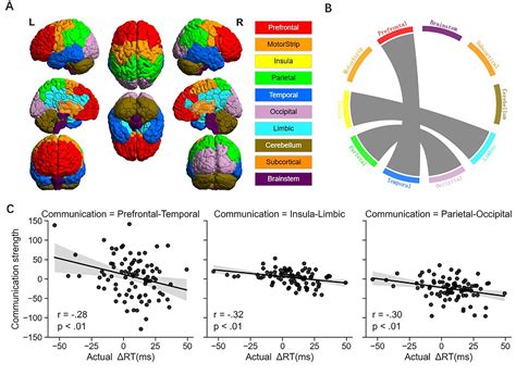 Figure 1 From Identifying Individuals Distractor Suppression Using Functional Connectivity