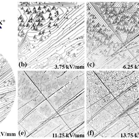 A The Kinetic Map Of The Polarization Reversal Process For The Whole