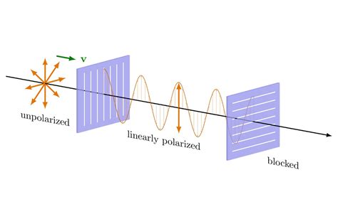 10 Fascinating Facts About Polarization