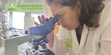 Torontos Healthcare Odyssey Navigating Medical Lab Assistant Program