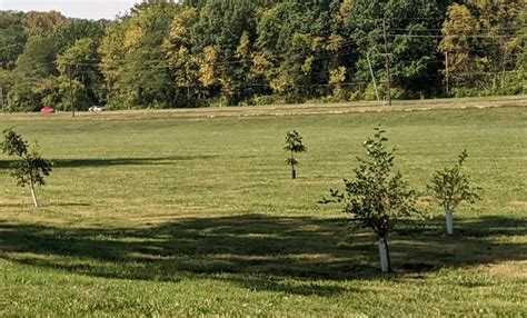 North Riverfront Park Trees The Ethical Society Of St Louis