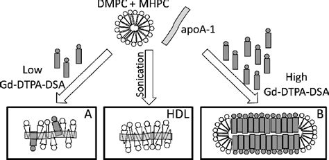 Schematic Representation Of The Model Under Sonication Energy A Download Scientific Diagram
