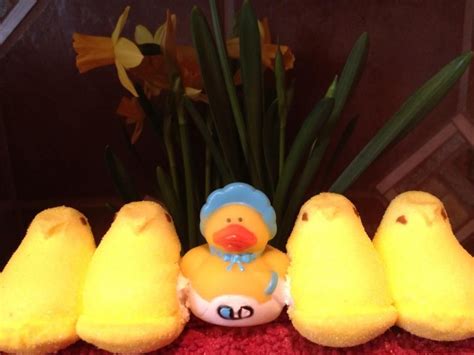 Chillin With My Peeps What The Duck Food Eggs