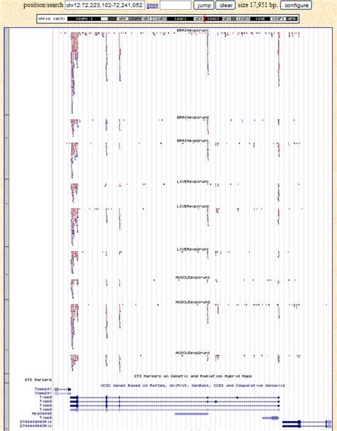 ucsc genome browser rna seq tutorial