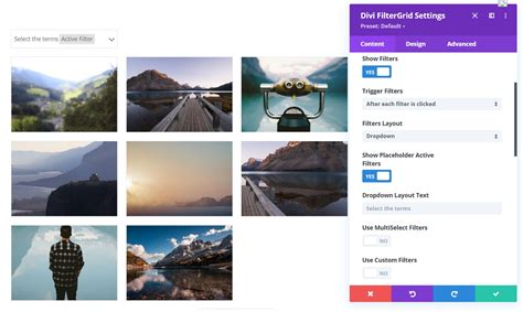 Divi Plugin Highlight Divi FilterGrid Ask The Egghead Inc
