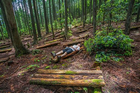Kumano Kodo Pilgrimage Route Way To The License Image 13844920 Image Professionals