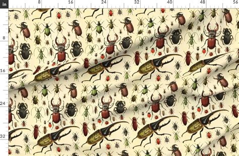 Beetles Insect Taxonomy Print Engraving Fabric Spoonflower