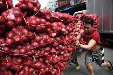 DA chief pledges to regulate onion imports | GMA News Online