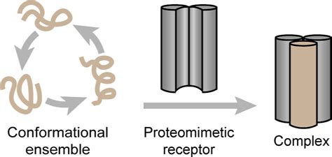 Proteomimetic Strategy For The Modulation Of Intrinsically Disordered