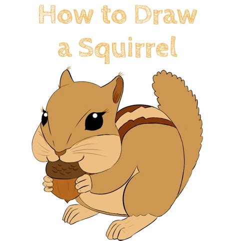 How To Draw A Squirrel Easy Drawing Art Vrogue Co