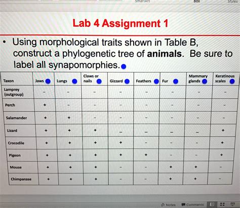 smarart box styles lab 4 assignment 1 using morphological traits shown