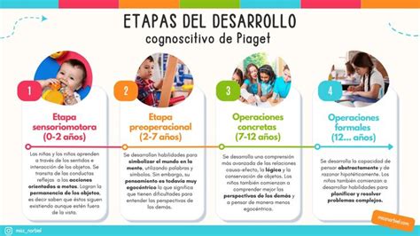 Etapas Del Desarrollo De Piaget Y Por Qué Son Tan Importantes Imagenes De Deportes Animados