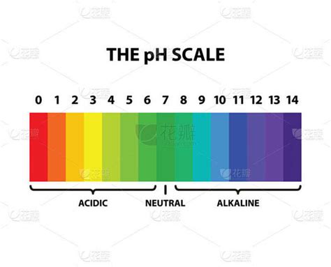 彩色 ph 刻度彩虹 - 隔离矢量插图