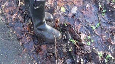 Inside And Outside Mud Boots Elite Rose Clips4sale