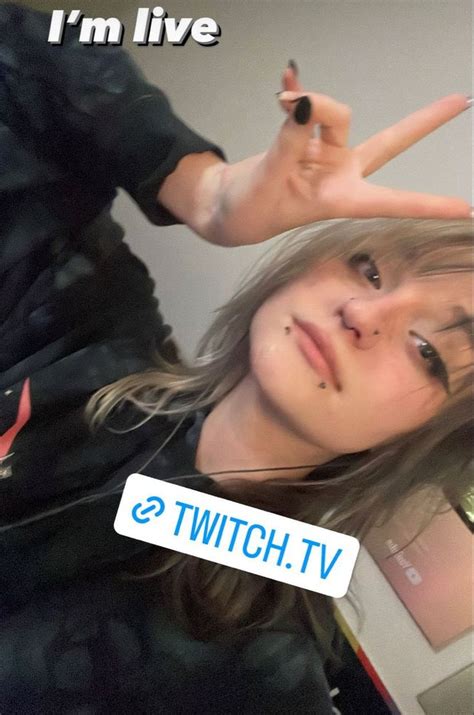 Niki Nihachu Streamers Fandoms