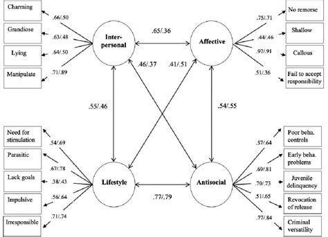 multiple group confirmatory factor analysis mg cfa results for