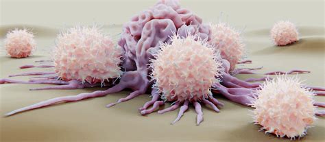 Frank Eichmann Mba On Linkedin Could Chimeric Antigen Receptor Nk Cell Therapy Be The Next Big