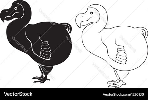 Dodo Bird Royalty Free Vector Image Vectorstock