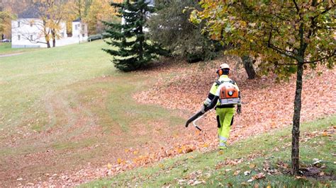 Who To Hire To Remove Leaves From My Yard Angi