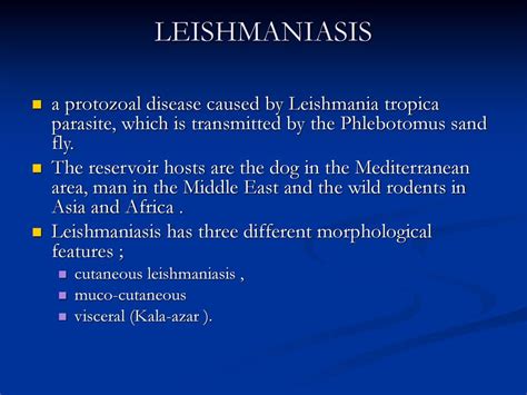 Parasitic Skin Infestations Ppt Download