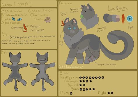 Part Two Of Drawing Warrior Cat Ref Sheets Yall Really Wanted Good Ol Cinderpelt Here She Is