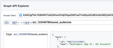 Facebook Ads Api Error Must Be A Valid Custom Audience Id Stack Overflow