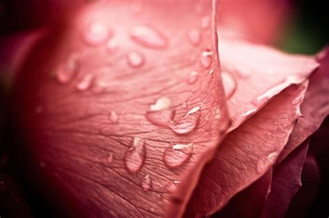 Wet Close Up Pictures Freepik