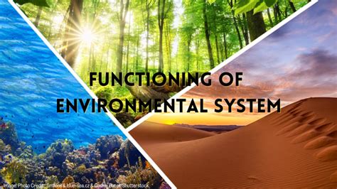 Human Interaction And Impacts In Environment Geographic Book