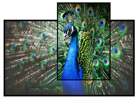 Elunevision Aurora 8k Evo Alr 100 169 13 Gain Perforated Nanoedge