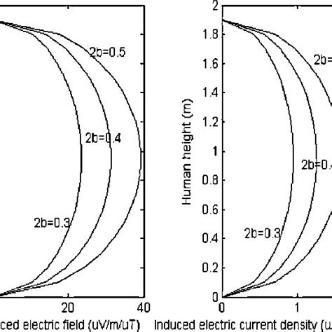 The Internal Induced Electric Fields And The Corresponding Induced
