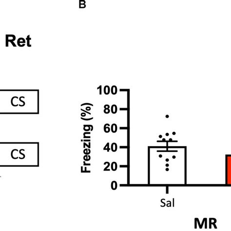 Noeffect Of Propranolol On Reactivated Memories In A Download Scientific Diagram