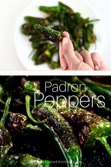 Fried Padrón Peppers Blistered Mini Peppers Alphafoodie