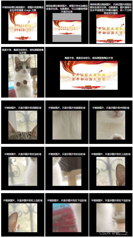 像uniapp image标签一样对图片进行缩放和裁剪 uniapp图片缩放 csdn博客