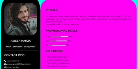 My New Responsive Cv With Html And Css Ameer Hamza Posted On The