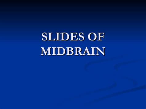 Slides Of Midbrain123456789123456789ppt