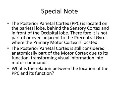 the motor cortex pptx brain and nervous system disorders diseases