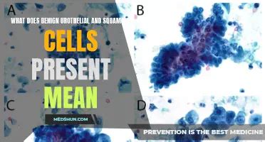 Understanding The Importance Of Muscularis Propria A Key Aspect