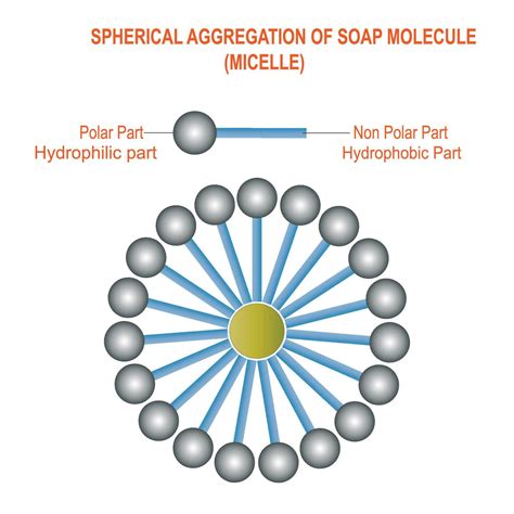A Micelle Is A Tiny Spherical Structure Formed By Surfactant Molecules