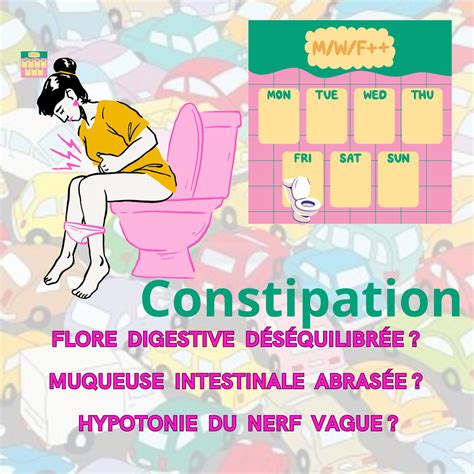 Focus Sur La Constipation Natbien Être