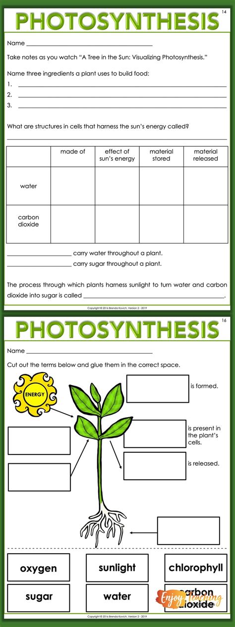Teaching Plants Their Amazing Parts Structures And Functions Artofit
