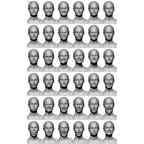 Female 01 38 X Expression Scan Bundle